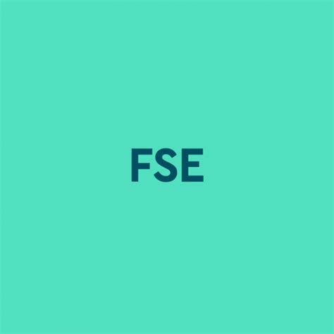 What Does Fse Mean Acronyms By