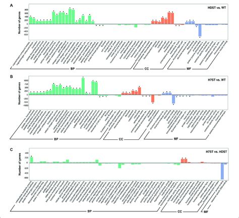 Gene Ontology Functional Classification Of Differentially Expressed