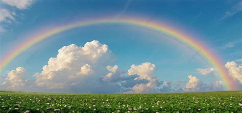 무지개 풍경 구름과 아름다운 자연 풍경 자연 잔디 배경 일러스트 및 사진 무료 다운로드 Pngtree