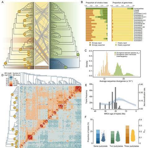 Topological Conflicts And Extensive Hybridization During Evolutionary