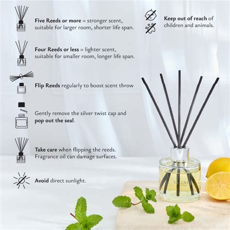 Original Diffuser T Box Wild Mint And Sicilian Lemon