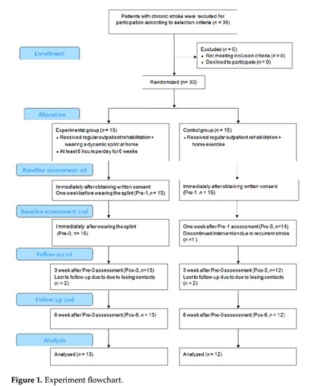 Experiment Flowchart Download Scientific Diagram