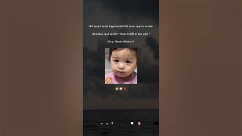 නොමර මැරුවා මා ආදරෙන් වෙලලා 💔🥀🕊️ Youtube