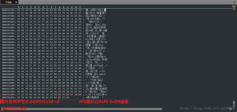 在图片添加exif信息的c程序实现添加exif信息 Csdn博客