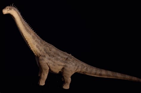 Some Mediocre Edits I Made To The Late Cretaceous Pack Species