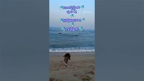 🐬칭찬고래김다현현역가왕🐬 Youtube