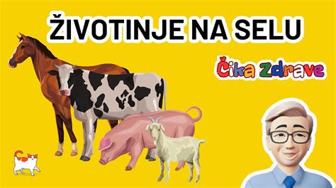 Životinje Na Selu ЖИВОТИЊЕ НА СЕЛУ Čika Zdrave ЧИКА ЗДРАВЕ Youtube