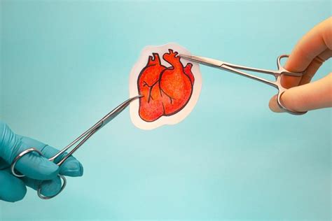 Difference Between Cardiopulmonary Bypass Time And Aortic Cross