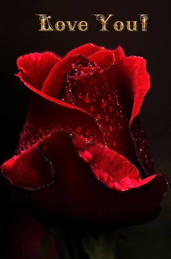 Write Your Name On Rose Flower