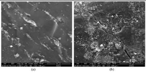 Change Of Coal Surface Pore Size And Pore Size Distribution A Download Scientific Diagram