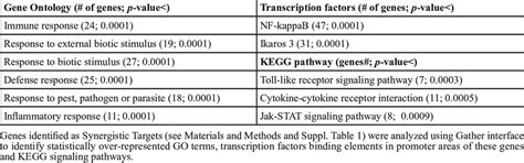 Gene Annotations For Synergistic Targets Download Table