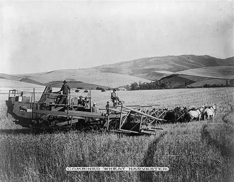 13 Vintage Photos Of Combines Modern Farmer