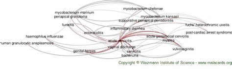 Acute Cervicitis Disease Malacards Research Articles Drugs Genes