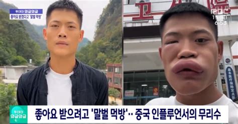 [와글와글] 좋아요 받으려고 말벌 먹방 중국 인플루언서의 무리수