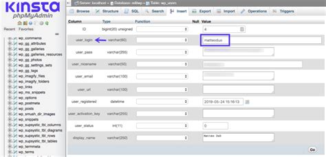 WordPress Database What It Is And How To Access It