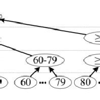 Generalization Hierarchies For Attributes Age And Sex Download Scientific Diagram