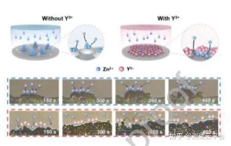 中南梁叔全周江唐艳：动态静电屏蔽层用于高度可逆锌金属负极 知乎