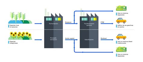 Biomasa Energía Renovable Y Sus Componentes Ori Alnitak