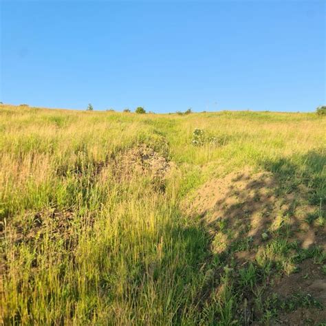 Premium Photo A Grassy Hill With Blue Sky