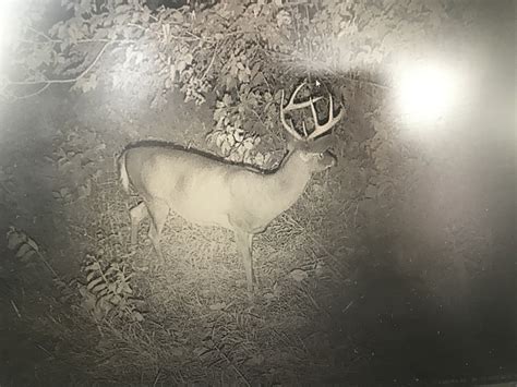 0681 D6 F8 0 D19 43 Ad Bdc3 0 Ea70 B3315 A3 — Postimages