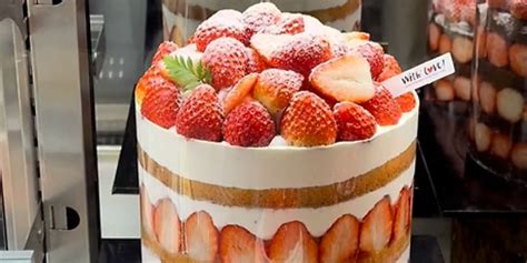 성심당 신상 화이트 딸기시루 에펨코리아