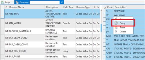 Copy And Paste Domain Values Code Description F Esri Community