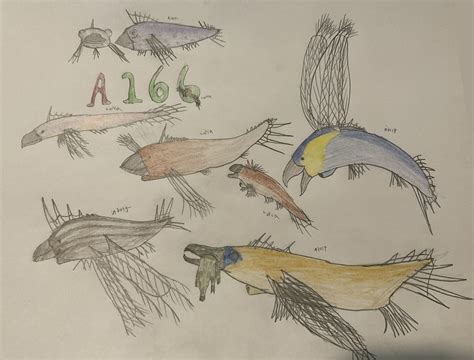 Mudfish Sagan Alpha Wiki