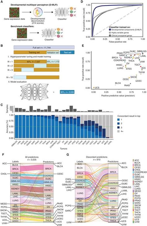 Developmental Deconvolution For Classification Of Cancer Origin Cancer Discovery American