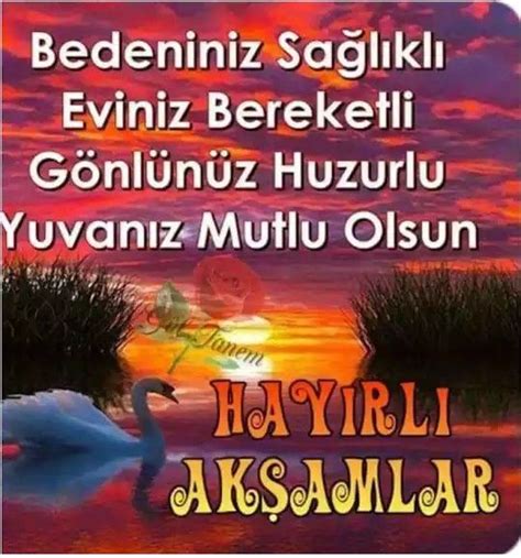 Salih Özer adlı kullanıcının Akşam mesajları panosundaki Pin | Mutlu, Resimler