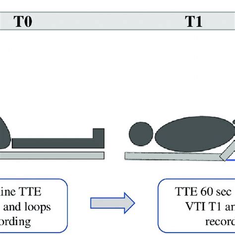 Time Point Schedule And Echocardiography Protocol Tte Trans Thoracic Download Scientific