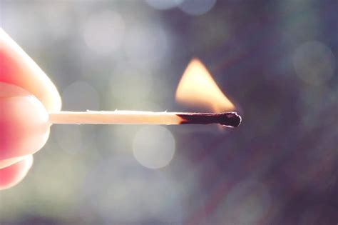 Microsoft Excel Statistics 2022 Skills Usage And More