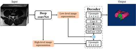 Deep Learning Based Automated Magnetic Resonance Image Segmentation Of The Lumbar Structure And