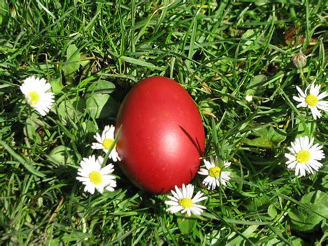 აღდგომის კვერცხი აღდგომის კვერცხი Ana Khakhiashvili Flickr