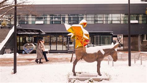 Alexander Pojarliev Phd On Linkedin За хората които искат да се развиват в областта на