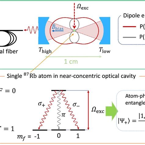 Atom Atom Entanglement Generation Rate For Two Cavity Sizes And Download Scientific Diagram