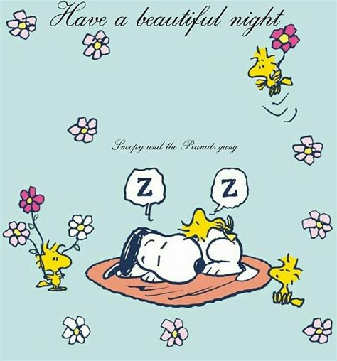 Pin By Jane Smith On Peanuts Snoopy Sleeping Snoopy Snoopy Love