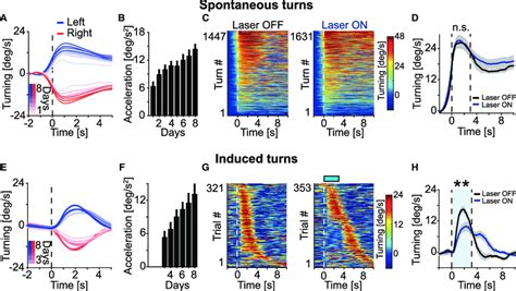 Motor Cortex Inhibition Delays Visually Guided Corrective Turns A Download Scientific Diagram