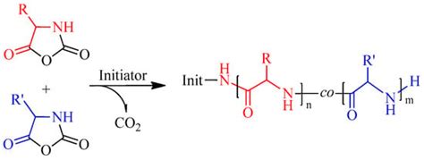 Polypeptide Based Systems From Synthesis To Application In Drug Delivery