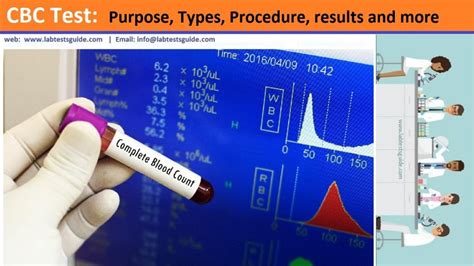 CBC Test Purpose Types Procedure Results And More Lab Tests Guide