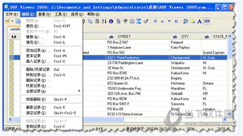 dbf viewer中文版 dbf viewer dbf阅读器 v6 1 最新汉化版下载 当下软件园