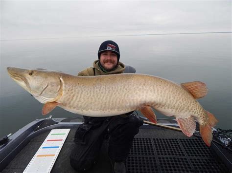 Discover The 20 Largest Fish Ever Caught In The United States