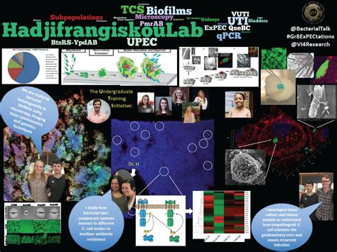 The Division Of Molecular Pathogenesis