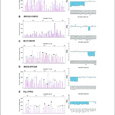 Examples Of Cnv Detection In The Genes Tested Comparison Of Wild Type Download Scientific
