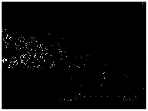 Titanium Dioxide Mesoporous Spheres And Preparation Method Thereof Eureka Patsnap