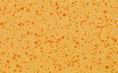 Sponge Cake Texture Images Free Download On Freepik