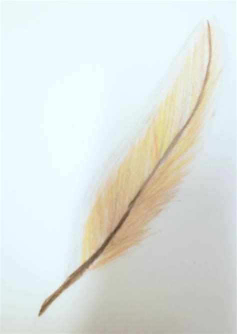 Hatching Lesson Babe Work Babe Lesson