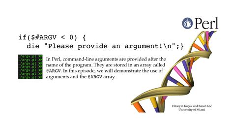 Argv Perl Create Code In Perl C Cpp Java And Python By Mlhollenbeck