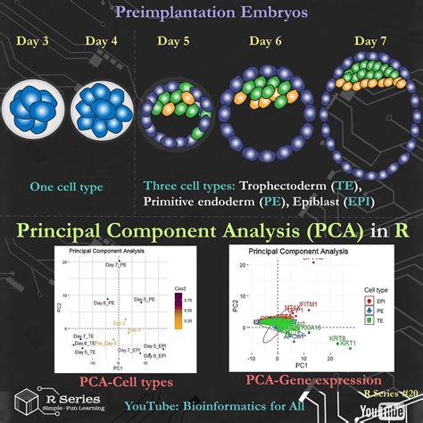 principal component analysis bioinformatics for all