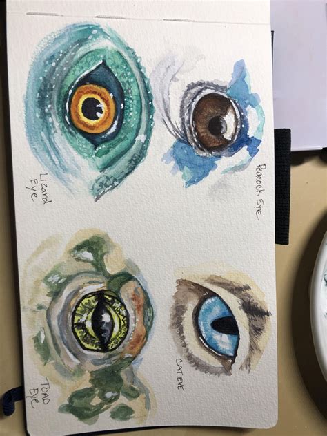 Class Project Skillshare Student Project