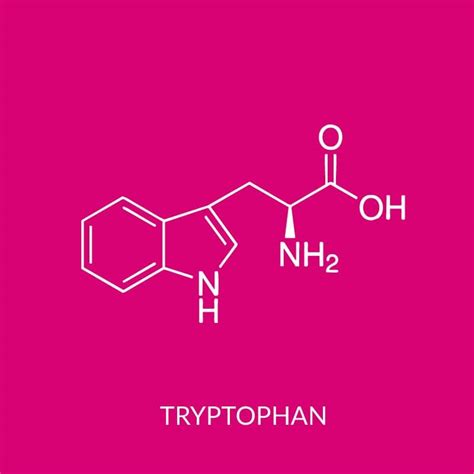 Tryptophan Structure